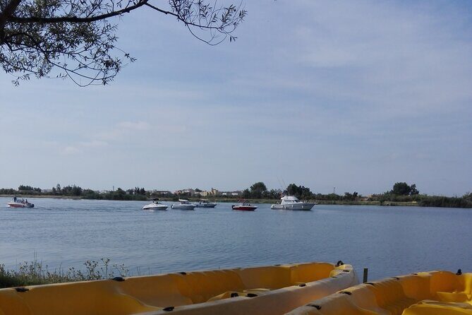 Guided Kayak Tour to Gracia Island - Reviews and Authentic Feedback
