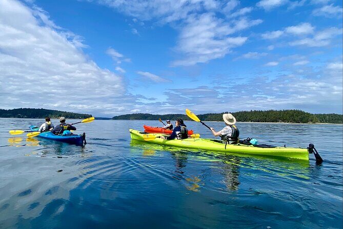 Guided Kayak Tour To Hope Island State Park - Discover the Beauty of Hope Island State Park by Kayak