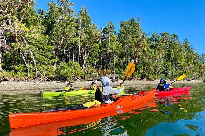 Guided Kayak Tour To Hope Island State Park - The Experience from Guest Perspectives