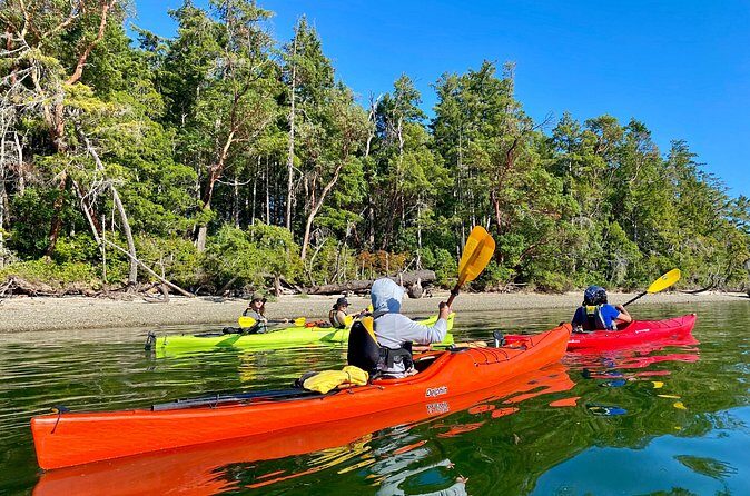 Guided Kayak Tour To Hope Island State Park - FAQs About the Hope Island Kayak Tour