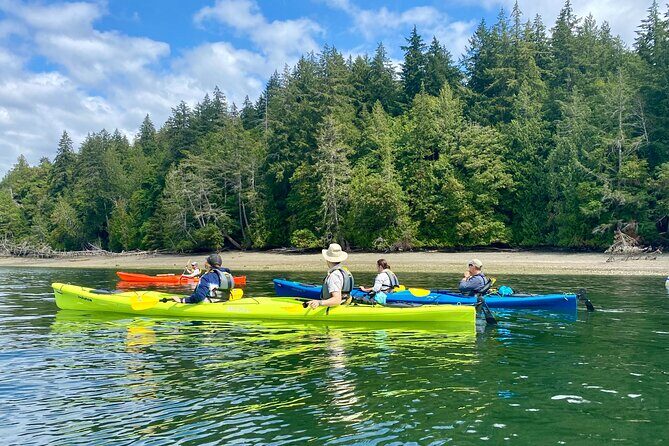 Guided Kayak Tour To Hope Island State Park - Final Thoughts: Is It Worth It?