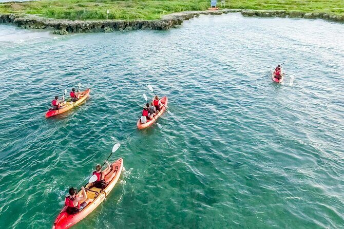 Guided Kayak Tour to Kailuas Twin Islands - Authentic Experiences and Real Guest Insights