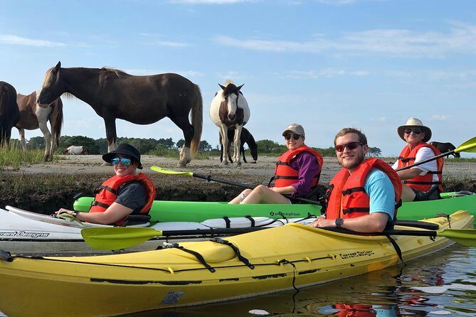 Guided Kayak Tour to see ponies, birds, dolphins and more - Practical Considerations