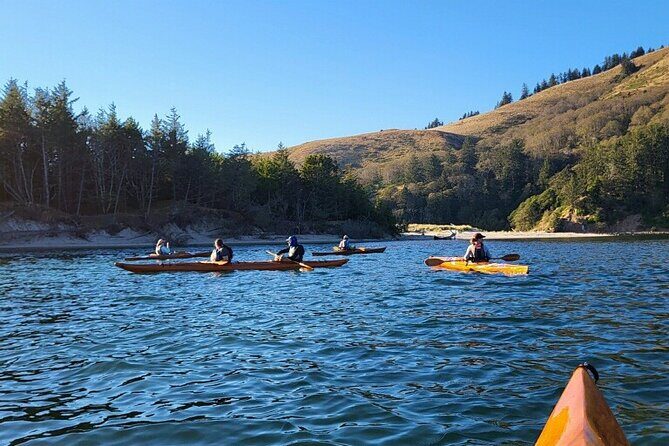 Guided Kayak Tours on the Salmon River Estuary in Otis, Oregon - An Authentic Paddle Through Oregon’s Coastal Natural Beauty
