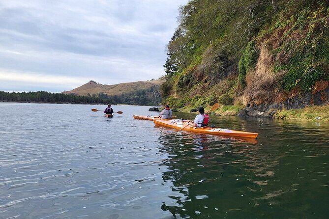 Guided Kayak Tours on the Salmon River Estuary in Otis, Oregon - Real Experiences from Past Participants