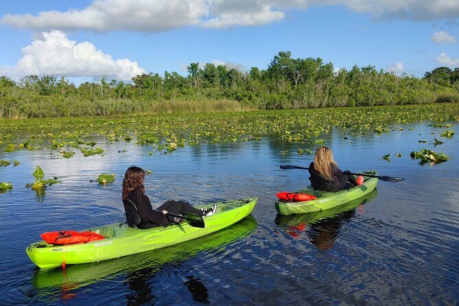 Guided Kayaking Manatee Tour near Orlando - An In-Depth Look at the Experience