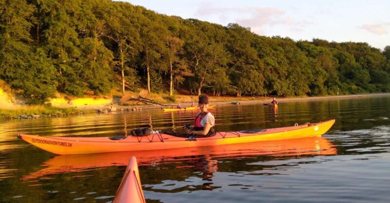 Guided kayaking on Roskilde Fjord: Private tour - Discovering Roskilde Fjord by Kayak