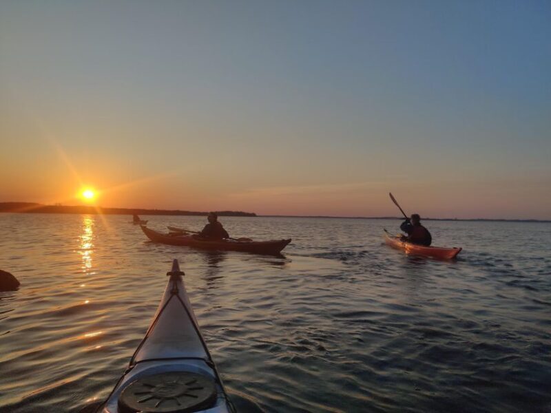 Guided kayaking on Roskilde Fjord: Sunset tour - Key Points