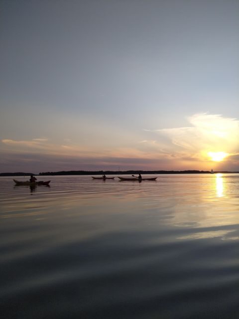 Guided kayaking on Roskilde Fjord: Sunset tour - What to Expect on the Roskilde Fjord Sunset Kayak Tour