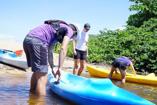 Guided Kayaking Tour of the Mitan Pond and its Mangrove - The Sum Up