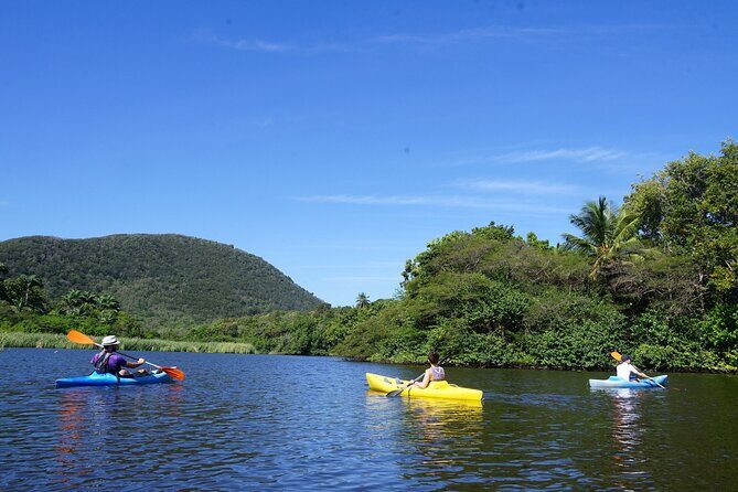 Guided Kayaking Tour of the Mitan Pond and its Mangrove - FAQ