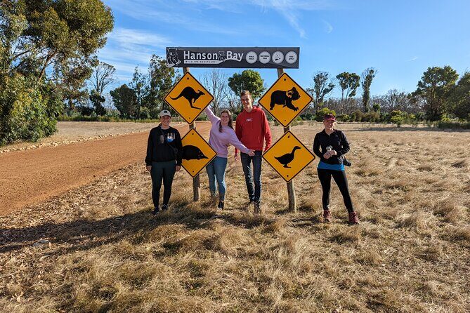 Guided Koala Walk and Bushfire ecology tour - The Reviews Speak for Themselves