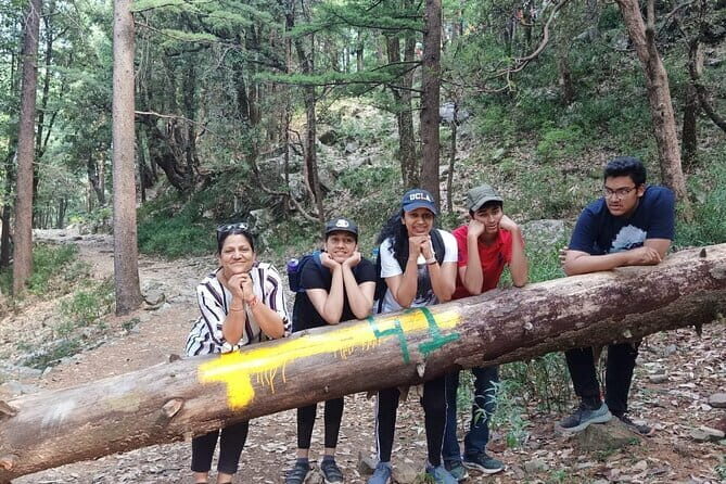 Guided Kora Circuit & Walking Tour Around McLeod Ganj - Why This Tour Works Well