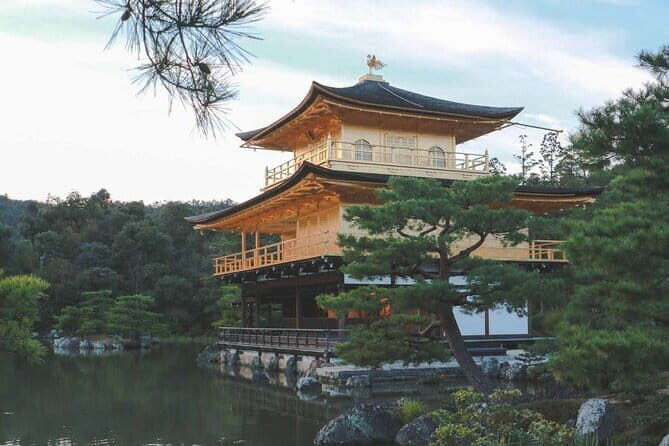 Guided Kyoto City Cherry Blossom One Day Private Tour - A Deep Dive into the Kyoto Cherry Blossom Tour