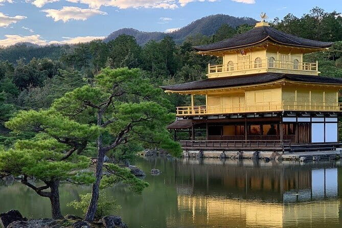 Guided Kyoto City Cherry Blossom One Day Private Tour - What Our Reviewers Say