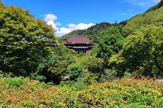 Guided Kyoto Trail Higashiyama Fushimi Inari To Kiyomizudera - Who Is This Tour Best For?
