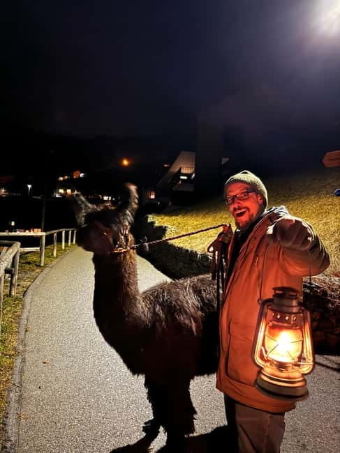 Guided llamawalk with a traditional, homemade cheesefondue - Key Points