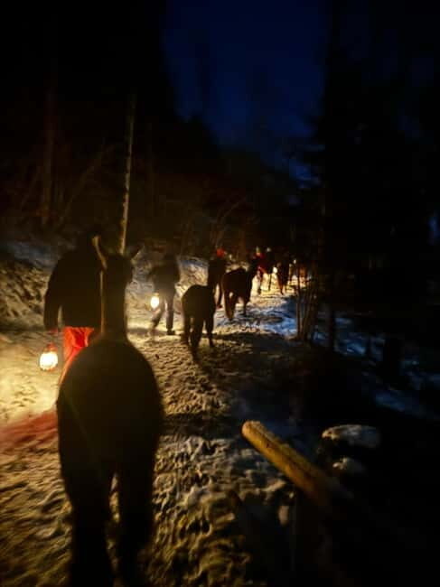 Guided llamawalk with a traditional, homemade cheesefondue - An Evening Tour that Ticks Many Boxes