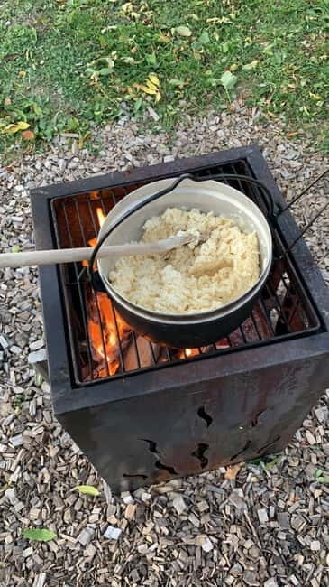 Guided llamawalk with a traditional, homemade cheesefondue - Practical Details and Value