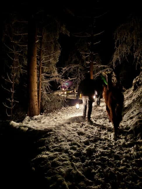 Guided llamawalk with a traditional, homemade cheesefondue - Who Should Consider This Tour?