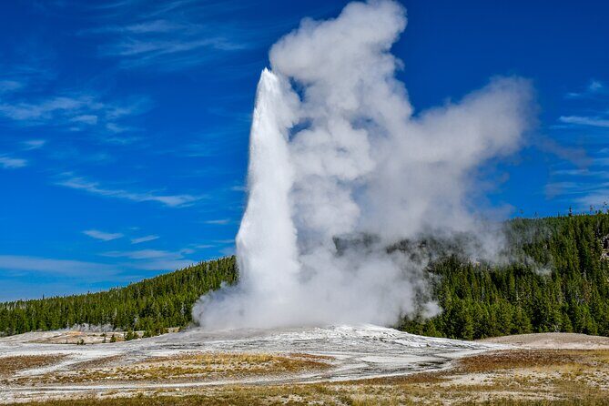 Guided Lower Loop of Yellowstone from Cody, WY - The Practical Aspects and What They Mean for You