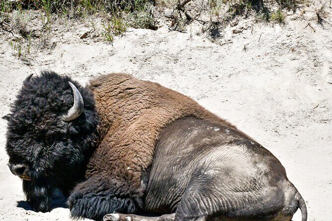 Guided Lower Loop of Yellowstone from Cody, WY - Final Thoughts: Who Will Benefit Most?