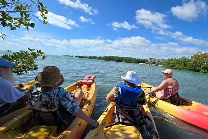 Guided Mangrove Eco Tours Kayak or Paddleboard Adventure - The Itinerary: What to Expect