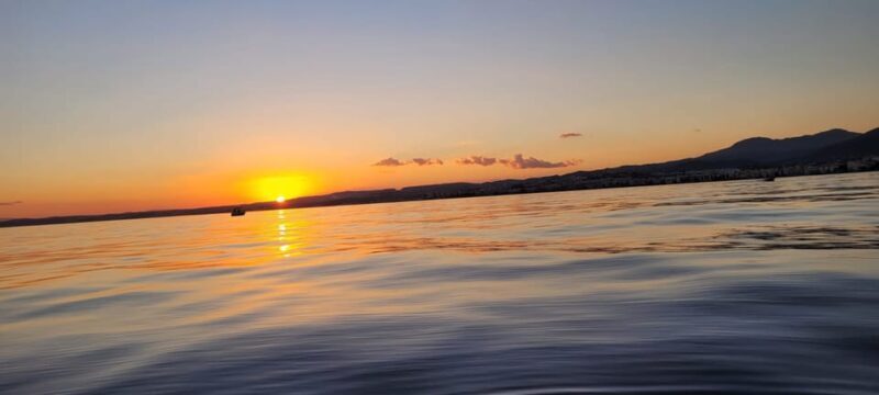 Guided Marine Life Excursion in Estepona - The Route and Stops