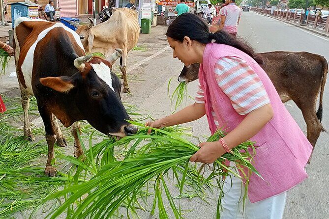Guided Morning Bicycle Tour with Food Tasting in Jaipur - Summary: Who Will Love This Tour?