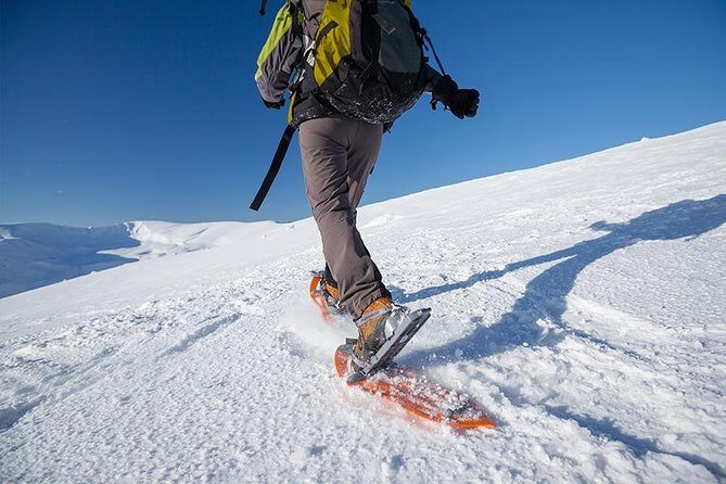 Guided Morning Snowshoe Hike with Huskies - Key Points