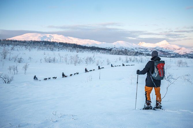 Guided Morning Snowshoe Hike with Huskies - The Scenic Journey