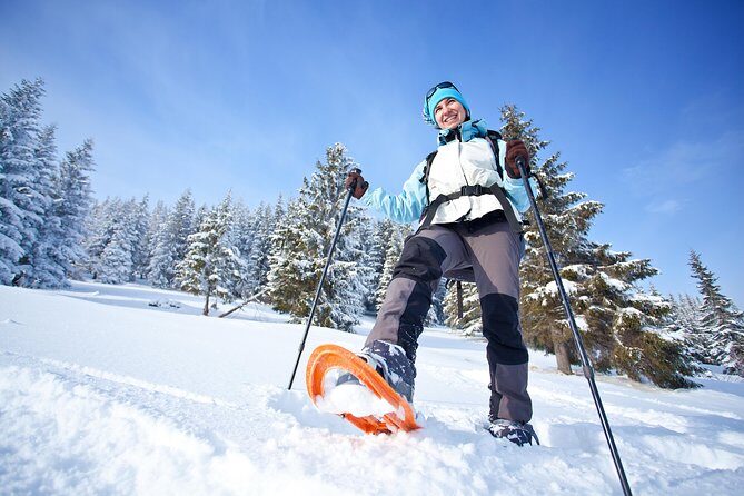 Guided Morning Snowshoe Hike with Huskies - What the Reviews Say