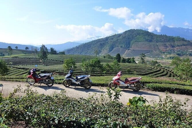 Guided Motorbike Tour to Ethnic Villages with Local Lunch in Sapa - Start in Sapa