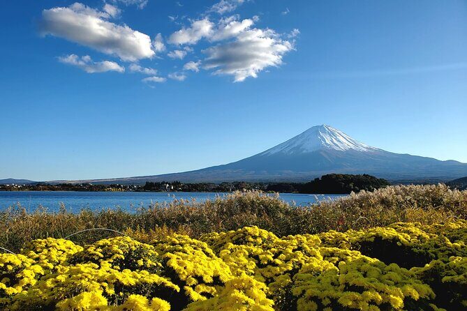 Guided Mount Fuji Private Tour GREEN NUMBER PLATES - Why This Tour Works Well for Specific Travelers