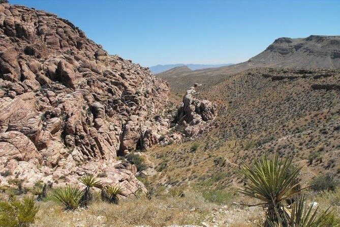 Guided Mountain Bike Tour of Mustang Trail in Red Rock Canyon - The Experience: What to Expect on the Mustang Trail Tour