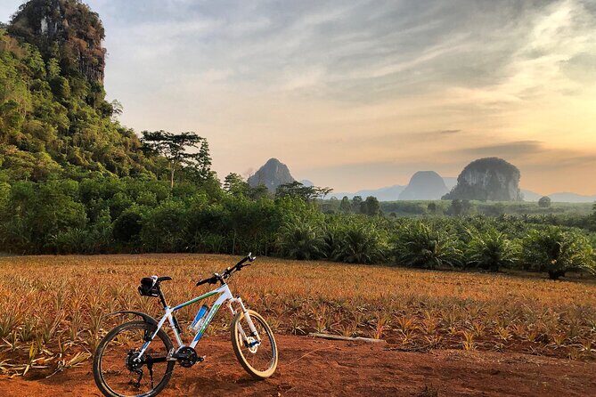 Guided Mountain Biking - Grand Tour - Trails of Ao Nang - Practical Details: What You Need to Know