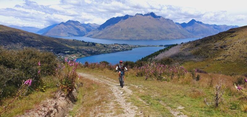 Guided Mountain E-bike Tour - Ride to the Sky - The Bottom Line: Is It Worth It?