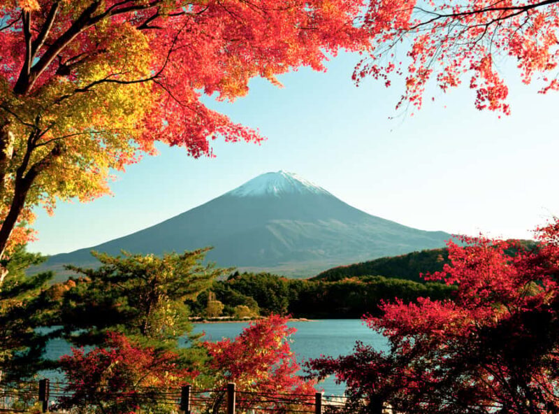 Guided Mt. Fuji Day Trip from Tokyo with English Guide - Who Will Love This Tour?