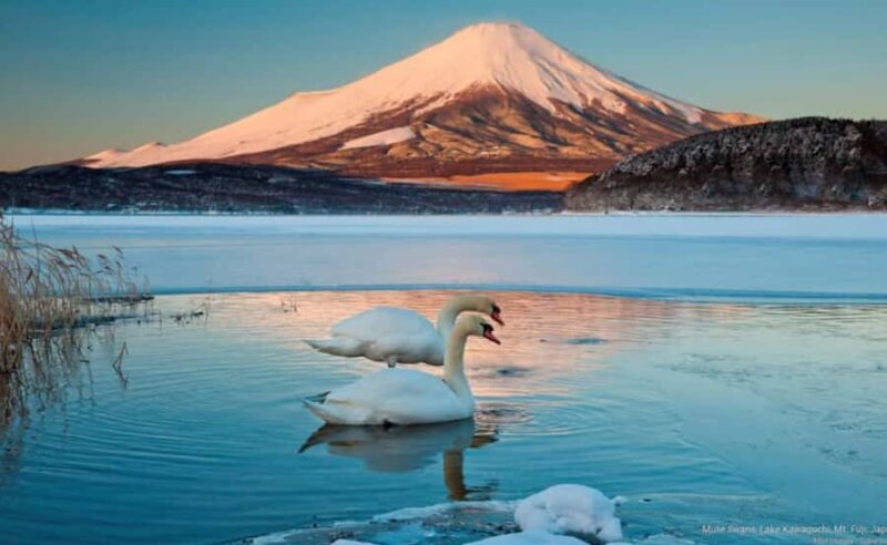 Guided Mt. Fuji Day Trip from Tokyo with English Guide - FAQ