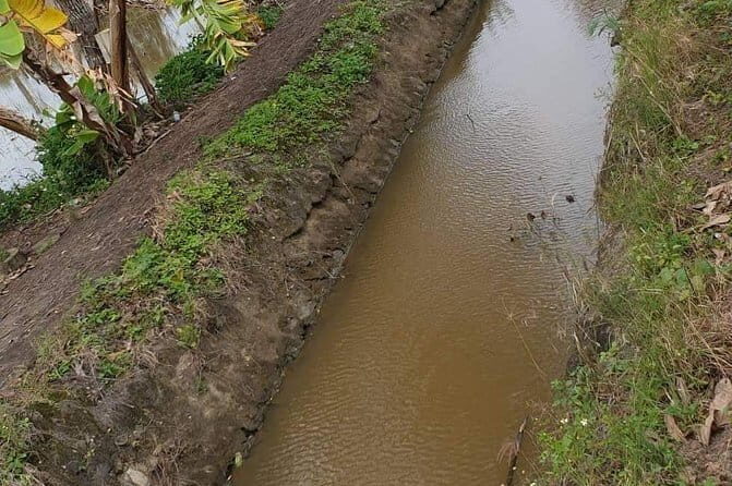 Guided My Lai Massacre Day & Heroic Mother Statue - A Closer Look at the Itinerary