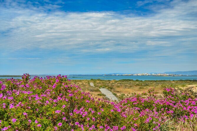Guided Nature Tour & Hop On Hop Off 3 Islands - An In-Depth Look at the Tour Experience