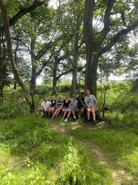 Guided Nature Tour: Pilgrims Way & Bigbury Fort - Exploring the Blean Woods: A Guided Nature Tour with a Touch of History and Serenity