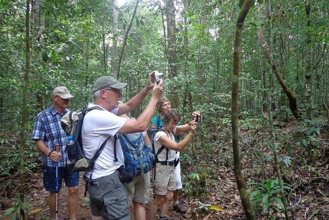 Guided Nature Trail to Kanneliya Forest - What Makes the Kanneliya Forest Trek Special?