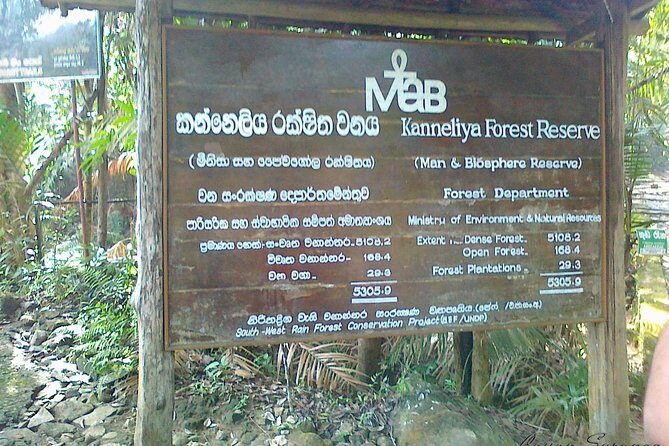 Guided Nature Trail to Kanneliya Forest - The Bottom Line