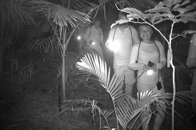 Guided Night Walk in Cape Tribulation - The Value of Private, Expert-Led Tours