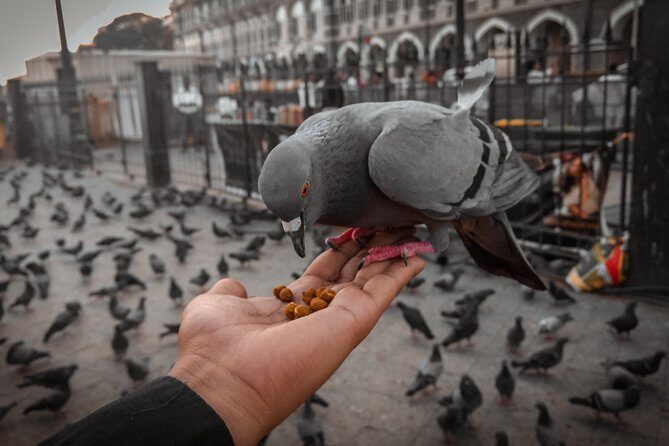 Guided Night Walking Tour in Mumbai - Explore the best nightlife with a local - Final Thoughts