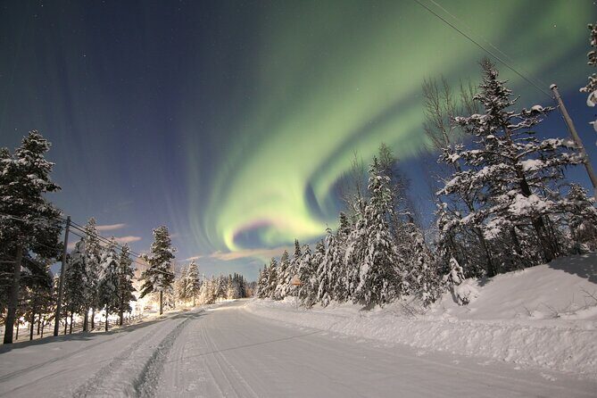 Guided Northern Lights Tour at Kiruna - The Cost and What It Buys