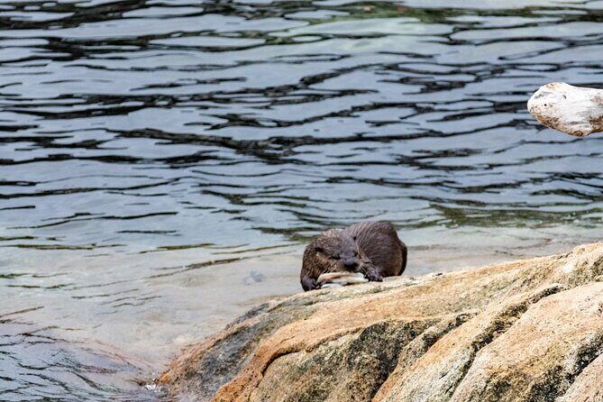 Guided Oceanside Private Hike - FAQ