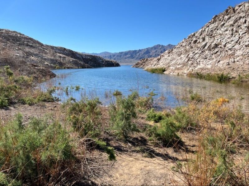 Guided Off-Road Bronco Adventure to Boathouse Cove Las Vegas - The Off-Road Experience: What You Can Expect