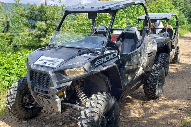 Guided Off-Road Vehicle Tours in North Idaho Forests - Why Travelers Love This Tour